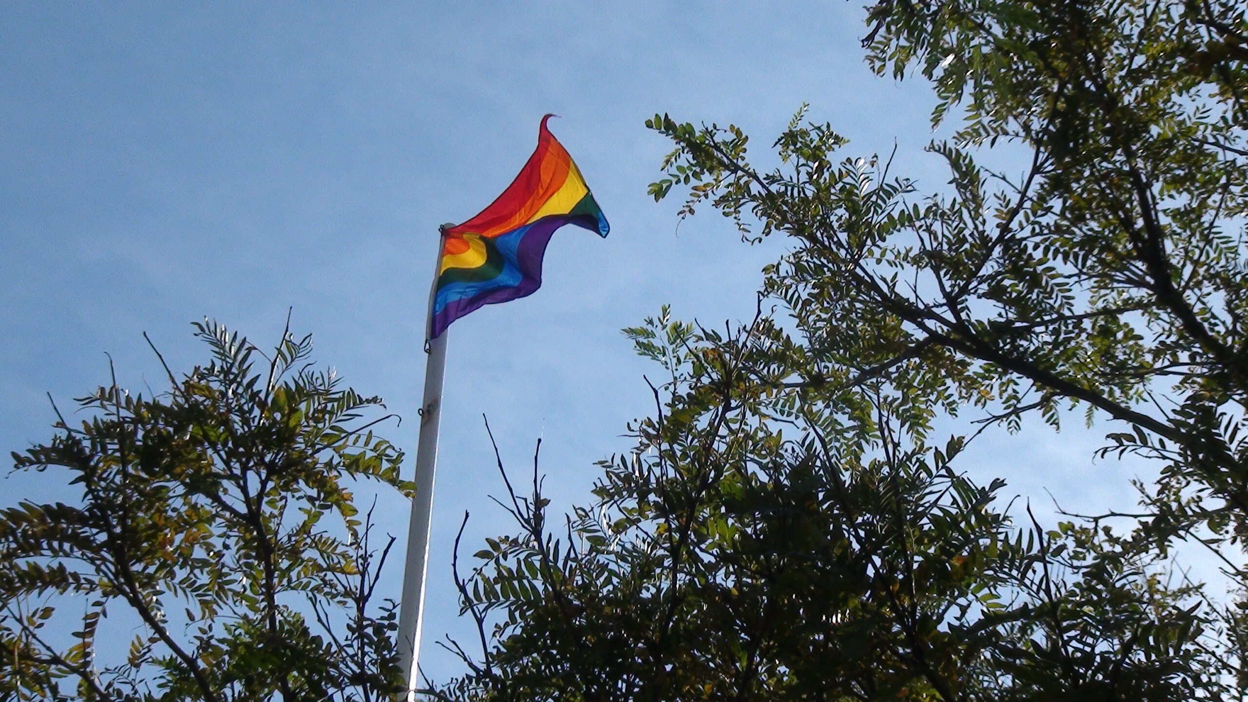 Annual Pride festival to return to Maynooth | Bancroft this Week